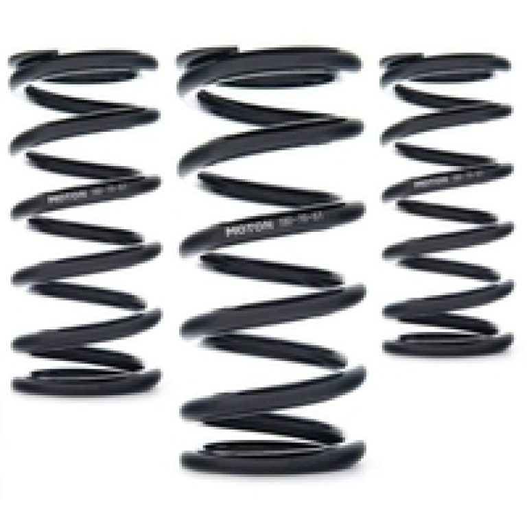 AST Linear Race Springs - 300mm Length x 120 N/mm Rate x 61mm ID ...